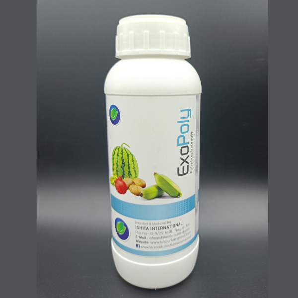 Products - Ishita International