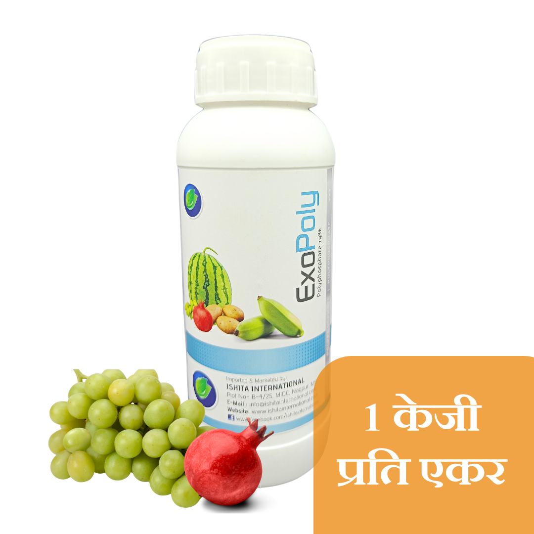 EXOPOLY LIQUID - Ishita International